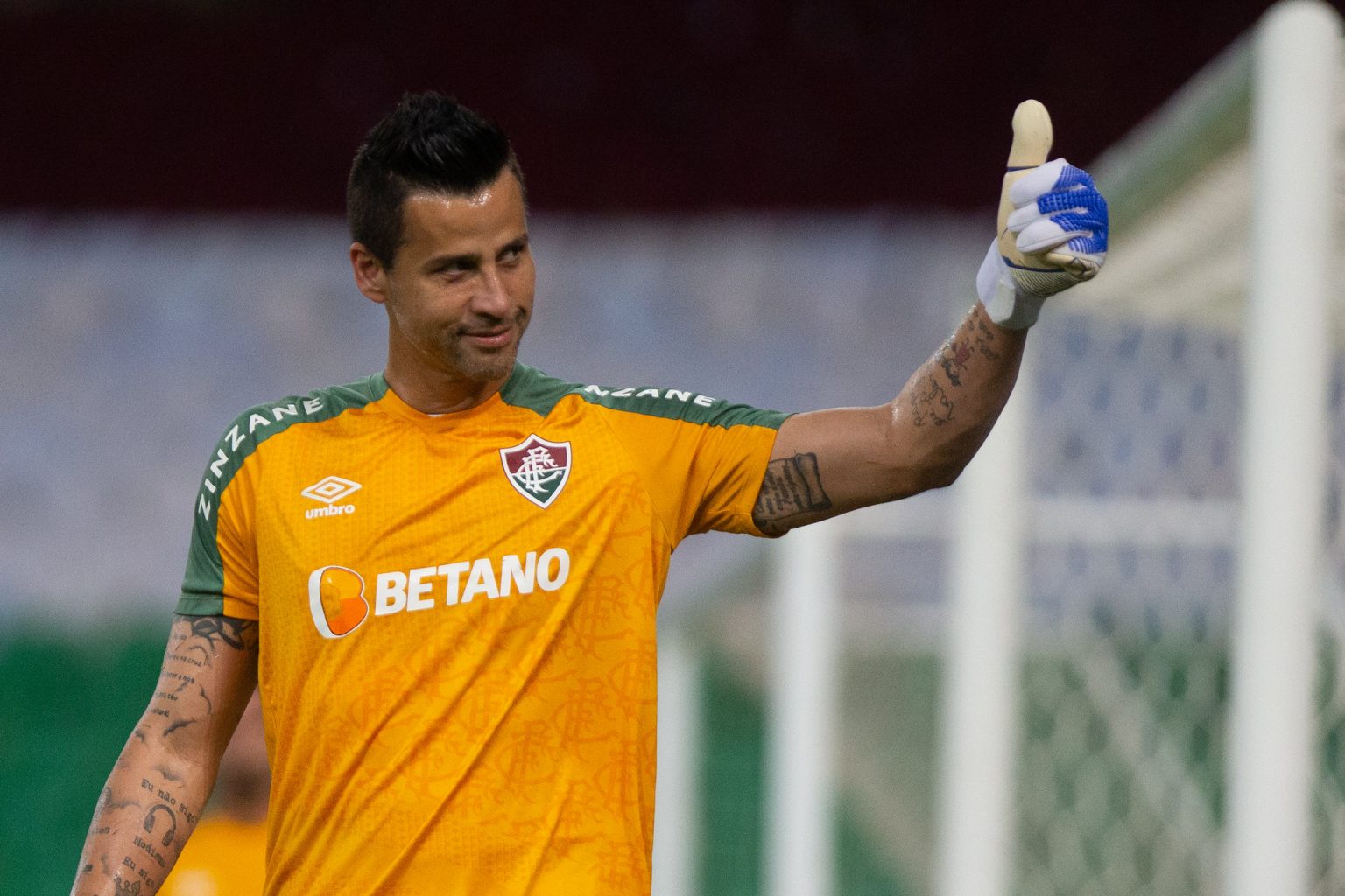 Fluminense renovará com goleiro Fábio